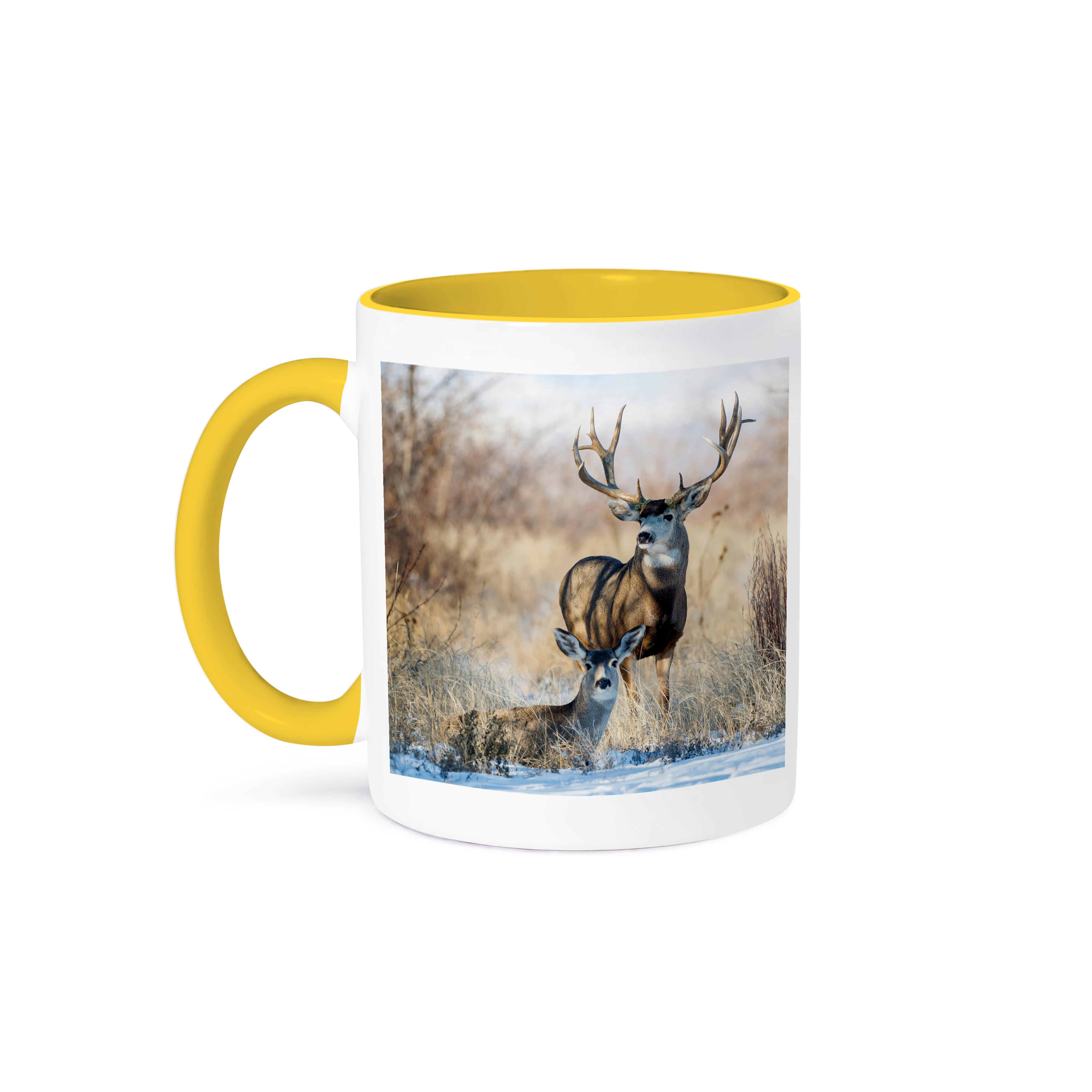 3dRose, Mule Deer, Odocoileus hemionus, buck and doe bedded, 15oz Two ...
