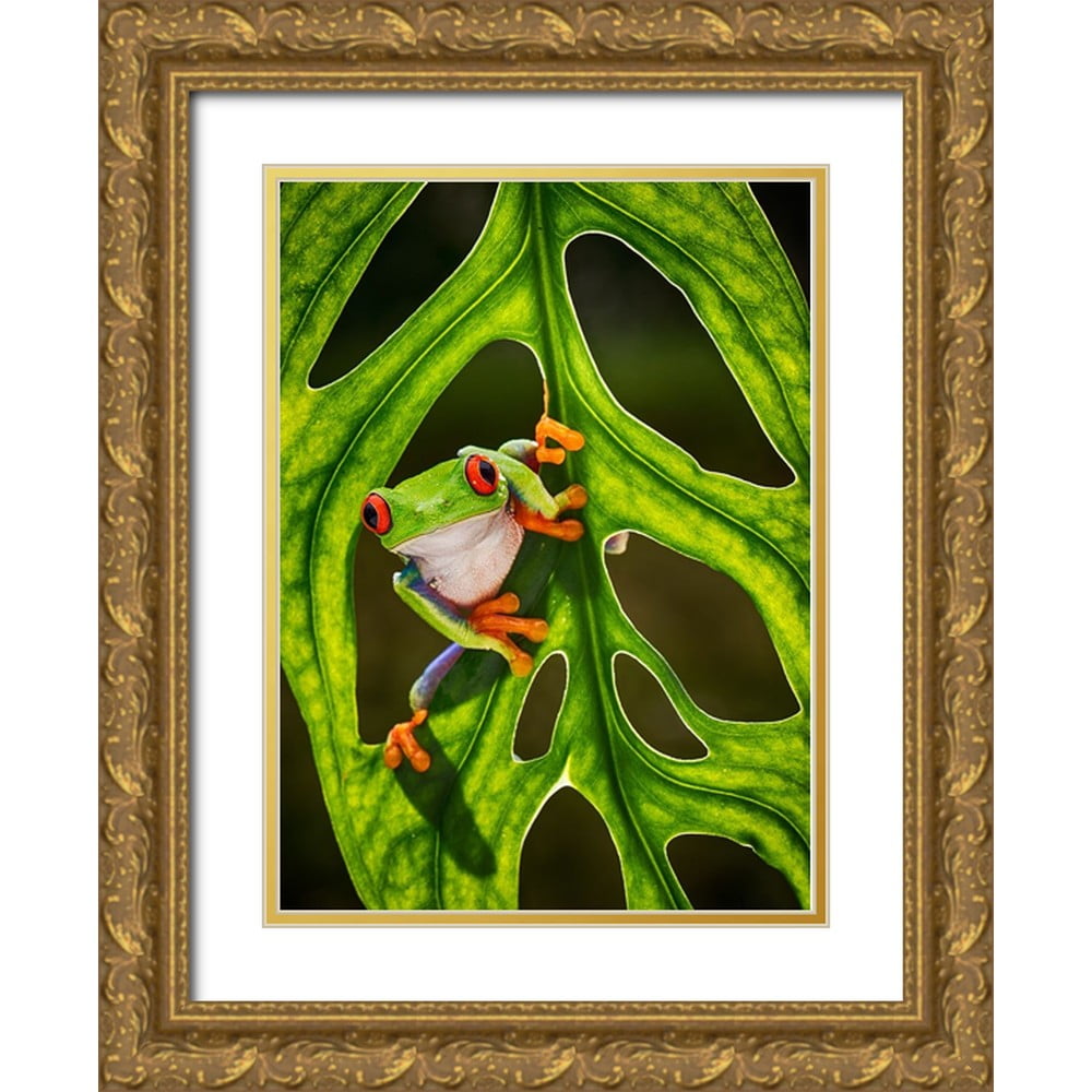 Muliani Hartojo, Angela 11x14 Gold Ornate Wood Framed with Double ...