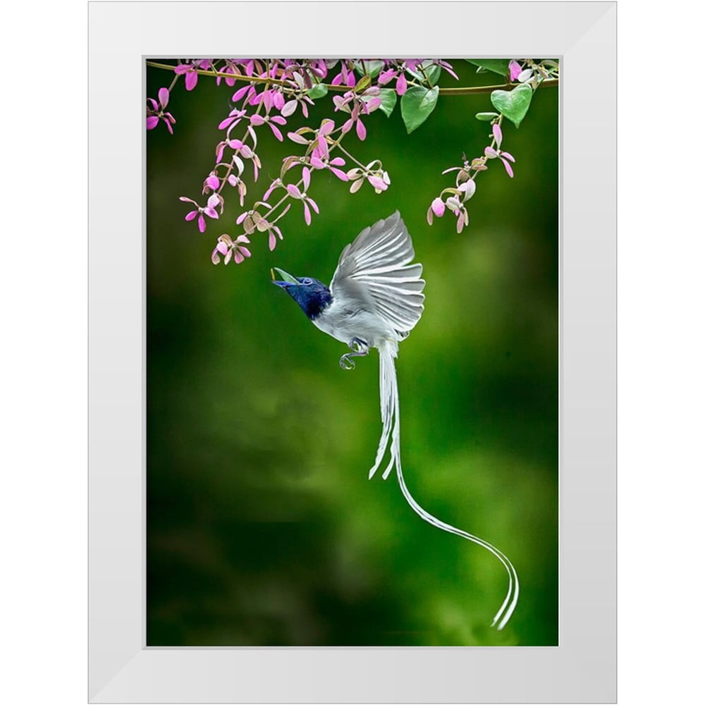 Muliani Hartojo, Angela 11x14 White Modern Wood Framed Museum Art Print ...