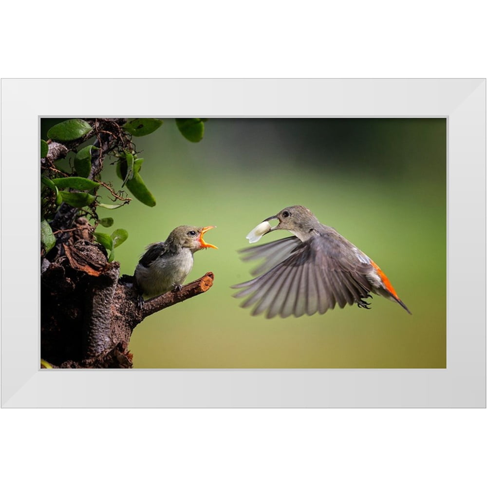 Muliani Hartojo, Angela 14x10 White Modern Wood Framed Museum Art Print ...