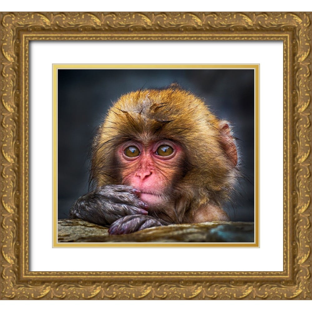 Muliani Hartojo, Angela 16x15 Gold Ornate Wood Framed with Double ...