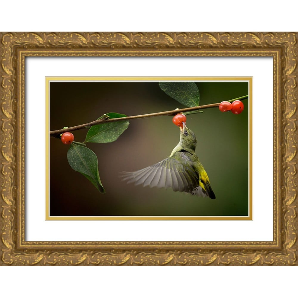 Muliani Hartojo, Angela 18x14 Gold Ornate Wood Framed with Double ...