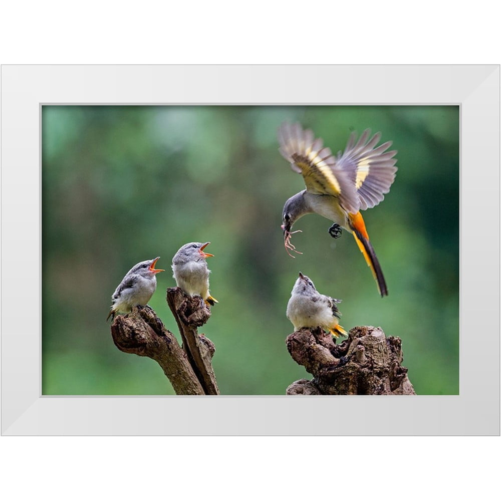 Muliani Hartojo, Angela 24x18 White Modern Wood Framed Museum Art Print ...