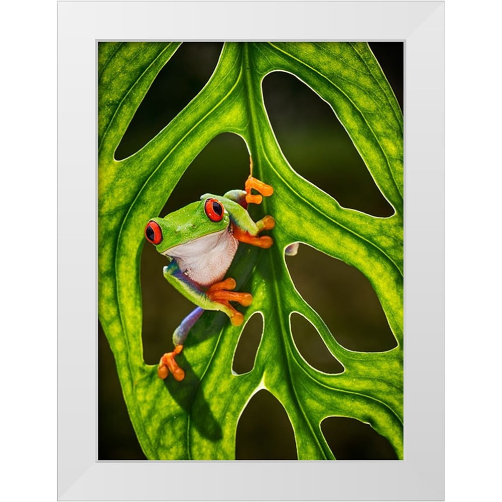 Muliani Hartojo, Angela 24x32 White Modern Wood Framed Museum Art Print ...