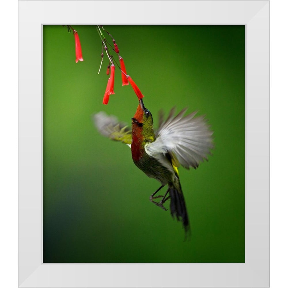 Muliani Hartojo, Angela 26x30 White Modern Wood Framed Museum Art Print ...