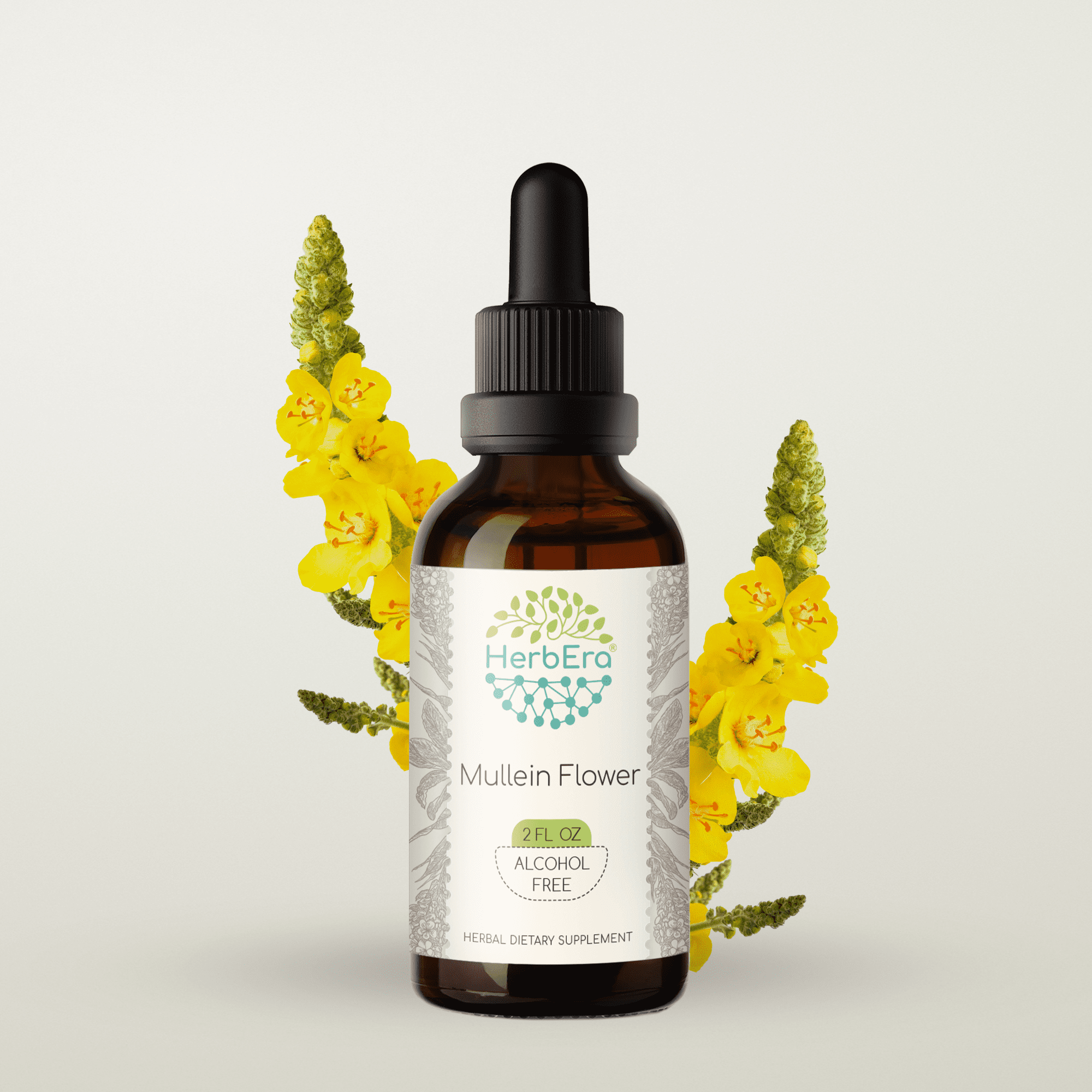 Mullein Flower Alcohol-FREE Herbal Extract Tincture, Super-Concentrated ...