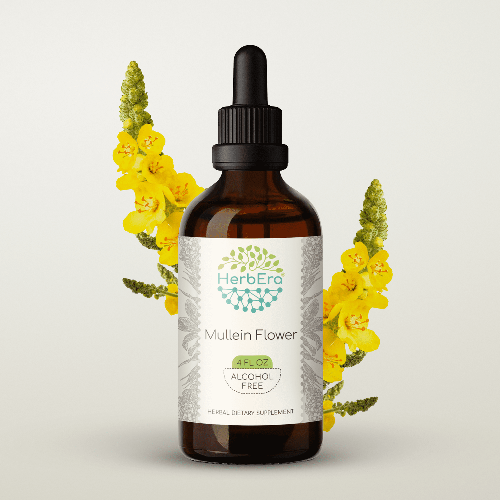 Mullein Flower Alcohol-FREE Herbal Extract Tincture, Super-Concentrated ...