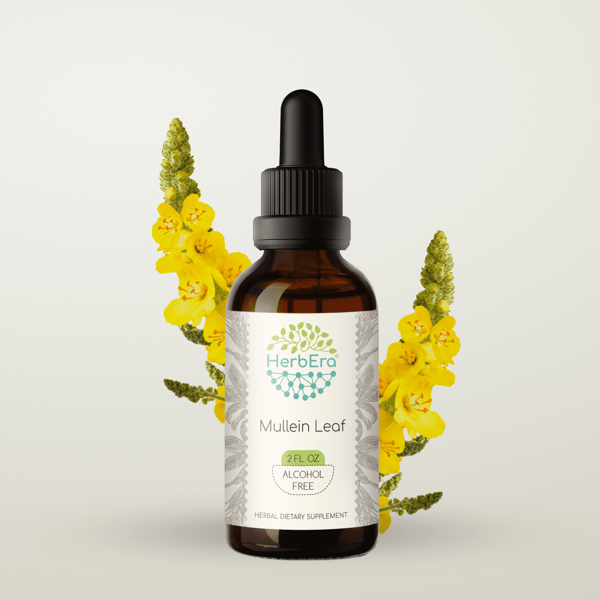 Mullein Leaf Alcohol-FREE Herbal Extract Tincture, Super-Concentrated ...