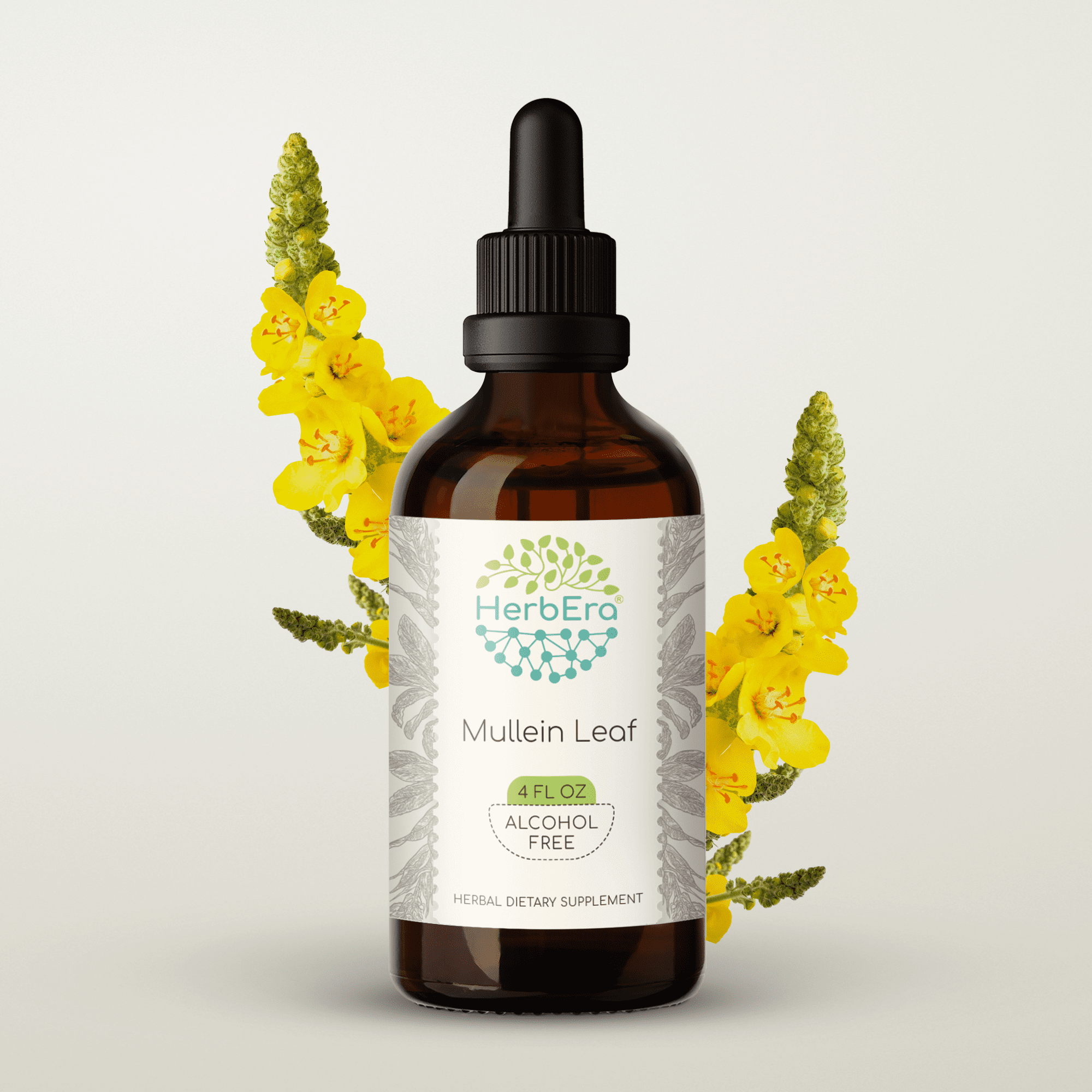 Mullein Leaf Alcohol-FREE Herbal Extract Tincture, Super-Concentrated ...