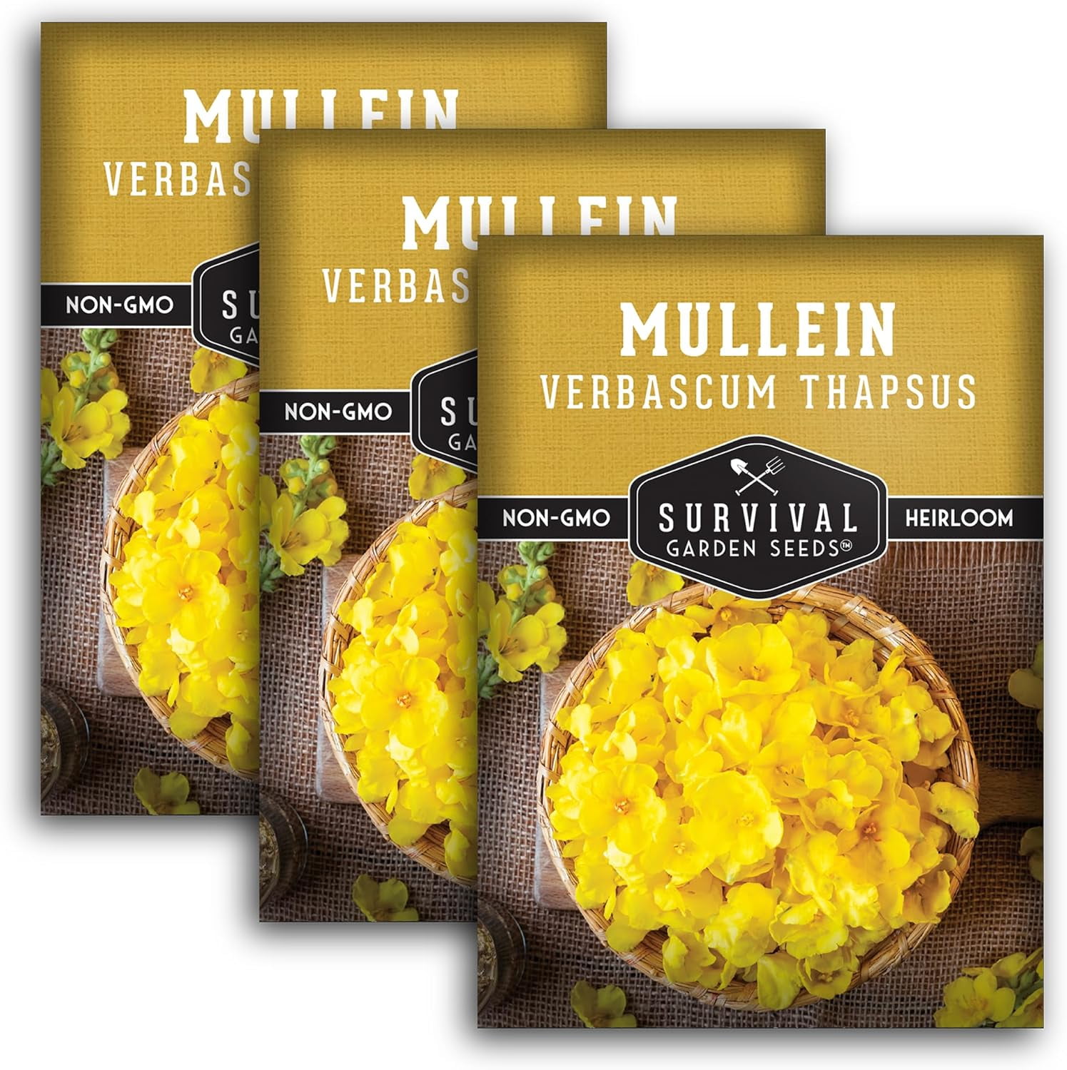 Mullein Seed for Planting - 3 Packets with Instructions to Plant and ...