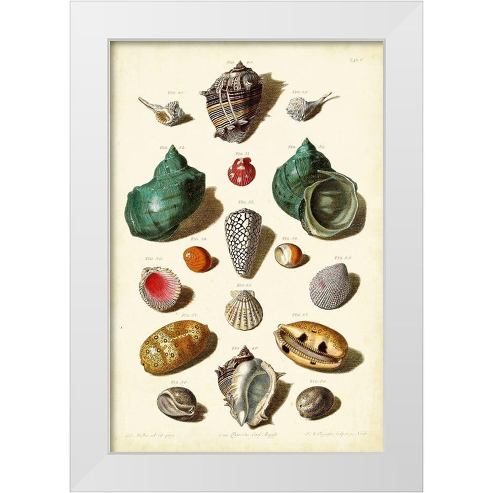 Muller, Gabriel 17x24 White Modern Wood Framed Museum Art Print Titled ...