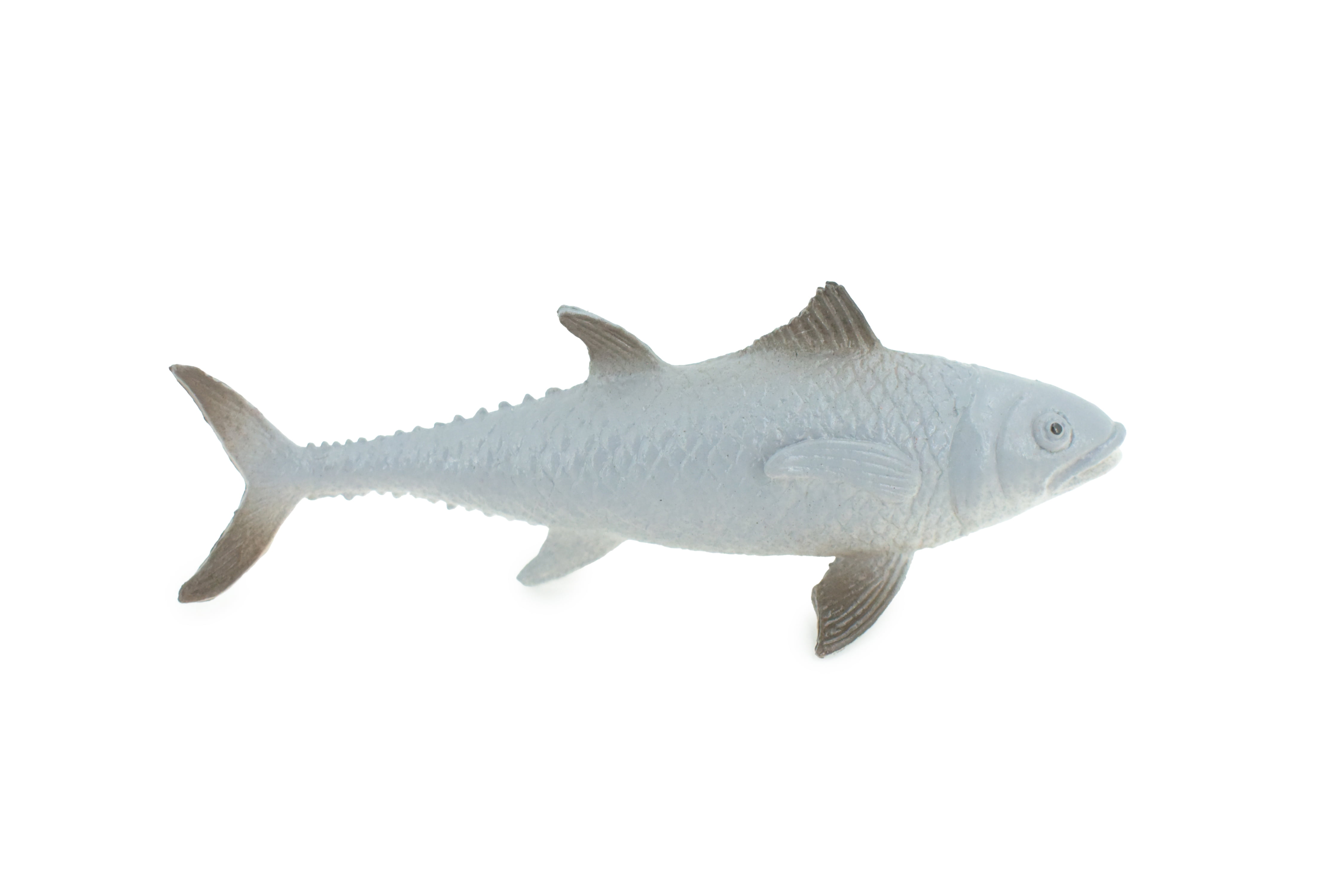 Mullet Fishing Toy, Grey, Saltwater, Rubber Fish, Realistic, Figure ...