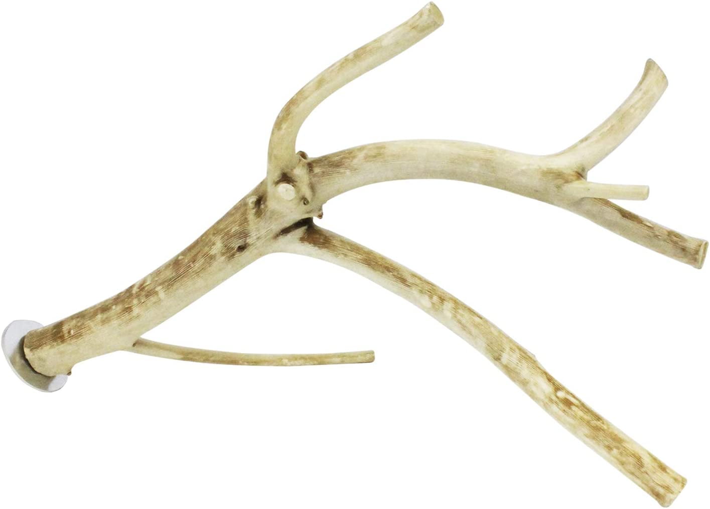 Multi-Branch Perch (Medium) - Durable Natural Climbing Branch Perch ...