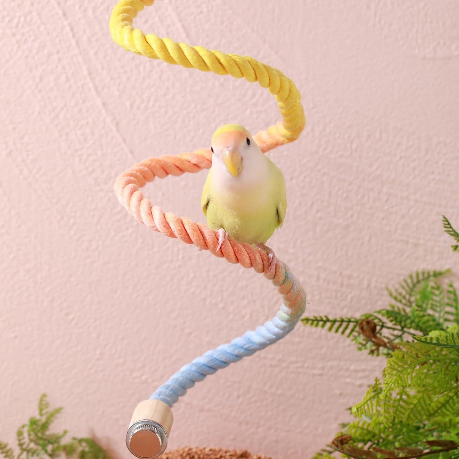 Multi-Color Rope Bird Perch Toys for Parrot Cage Stand, Climbing Swing ...