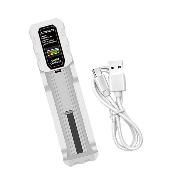 Multi Compatible Charging Station With Intelligent Protections for ...