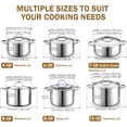 Multi-Ply Clad Stainless Steel Stock Pot, 6-Quart Pasta Cooking Canning ...