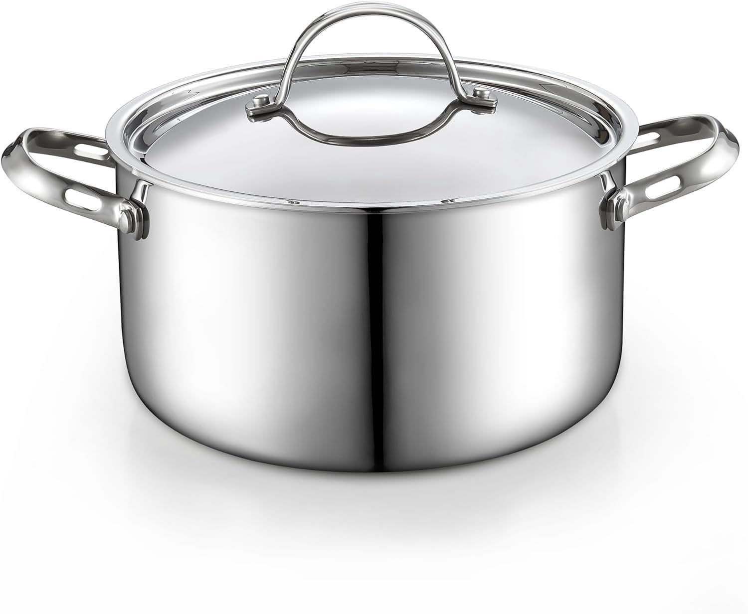 Multi-Ply Clad Stainless Stock Pot, 6-Quart Pasta Cooking Canning Pot ...
