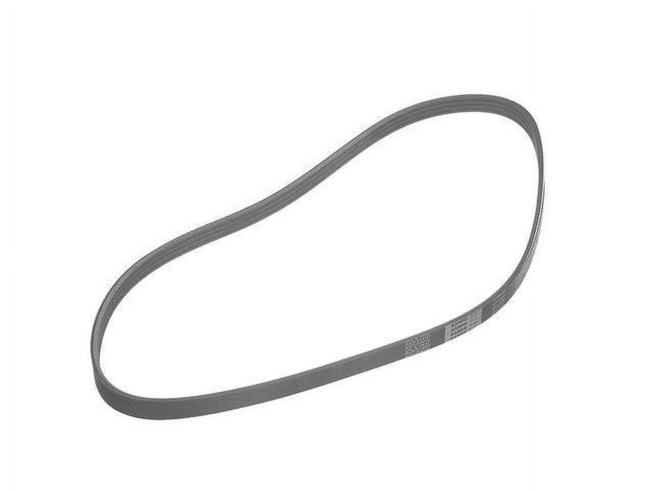 Toyota Supra Accessory Drive Belt