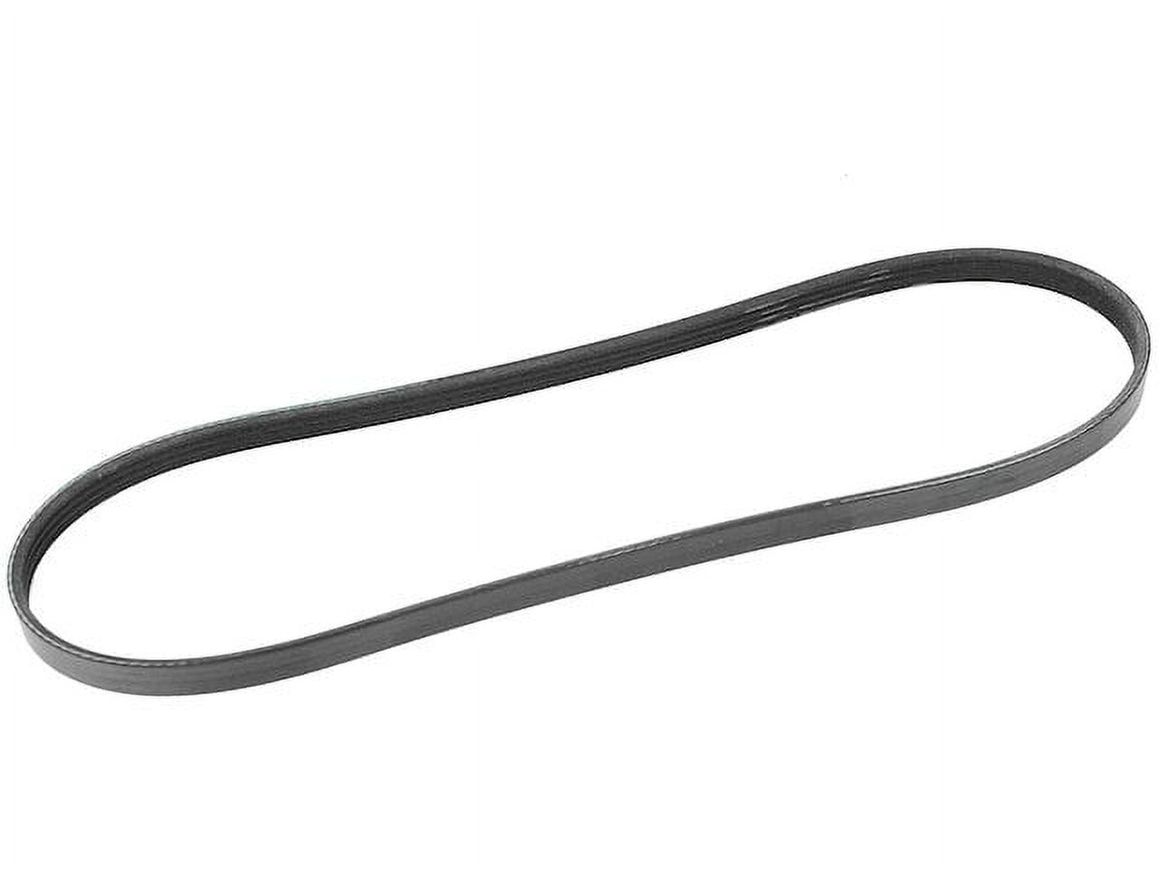 Multi Rib Belt - Compatible with 2007 - 2012 Hyundai Elantra 2.0L 4 ...