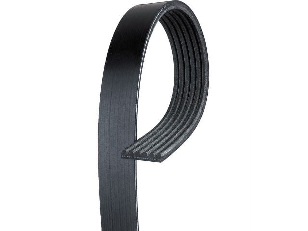 Multi Rib Belt - Compatible with 2014 - 2023 Ram ProMaster 1500 2015 ...