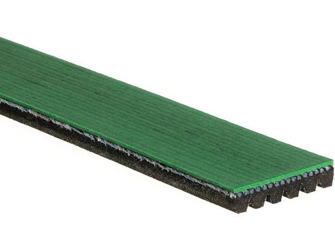 Multi Rib Belt - Compatible with 2017 - 2020 Chevy LCF 4500 2018 2019 ...