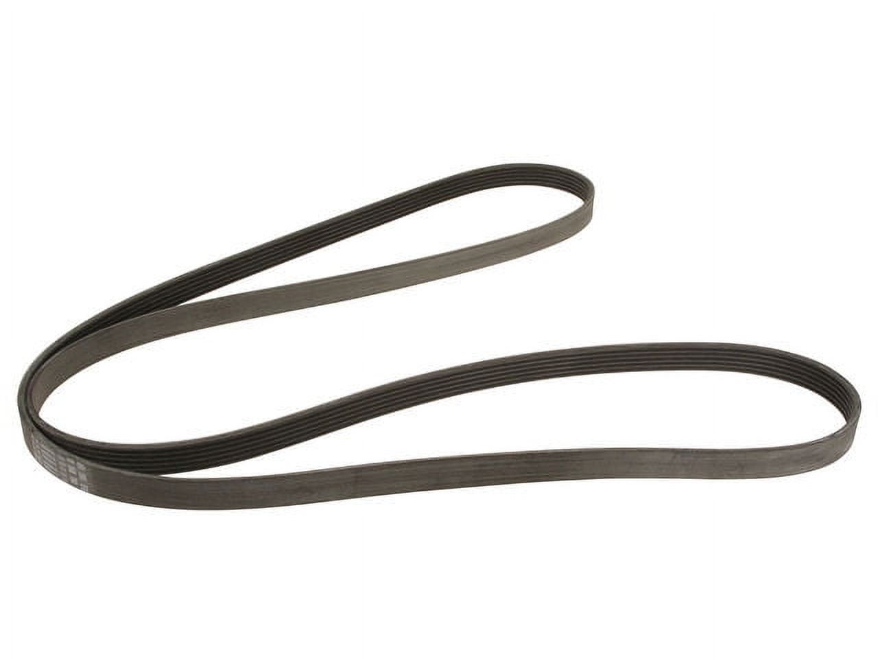 Multi Rib Belt - Compatible with 2020 - 2022 Mercedes-Benz Sprinter ...