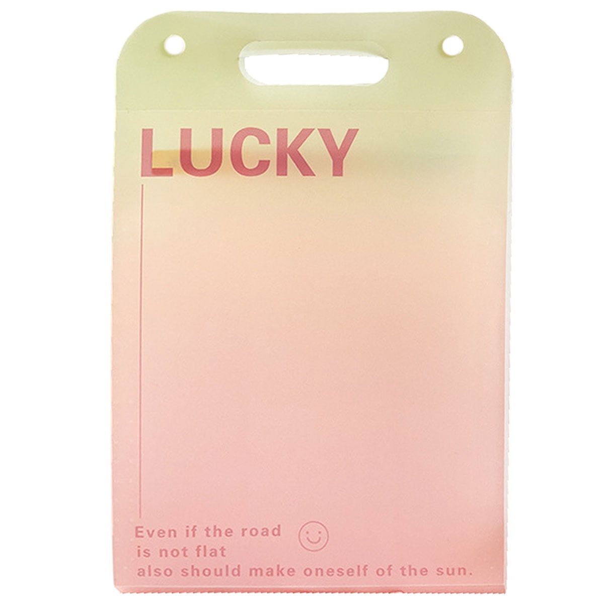 Multi-Section File for Test Papers & Storage A4 Color-Changing Vertical ...