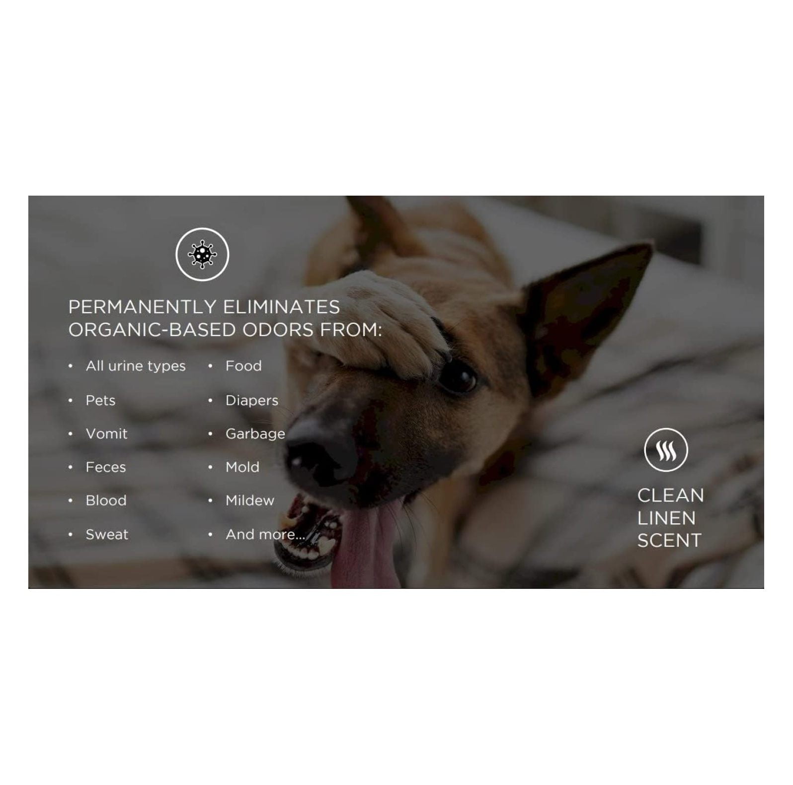 Multi-Surface Odor - Odor Ghost - Eliminates Organic Based Odors ...