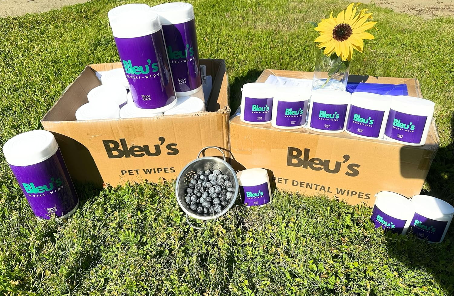 Multi-Wipe pet Wipe Dog and Cat Grooming Blueberry Scented Ideal for ...