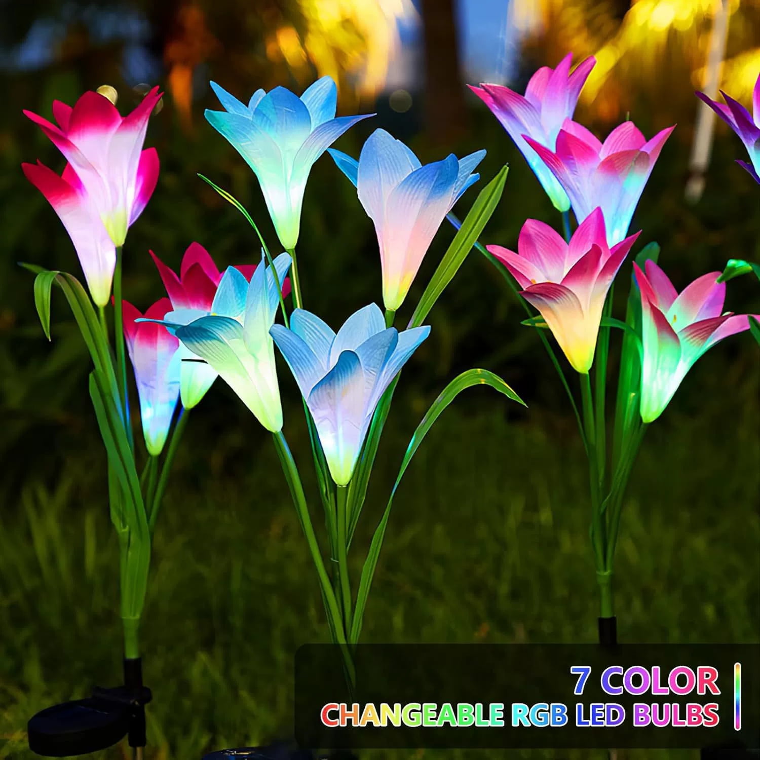 Multi-color Variable LED Lights, Eco-friendly Outdoor Solar Garden ...