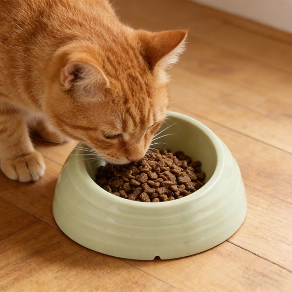 Multi-colored Plastic Tall Cat Bowls, Large-diameter Tip-over ...