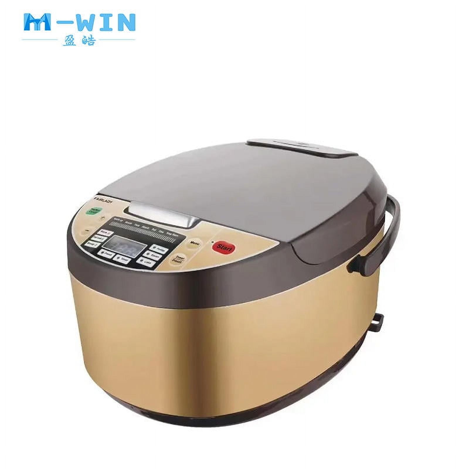 Multi functional Luxurious Portable Electric Rice Cooker 5L - Walmart.com