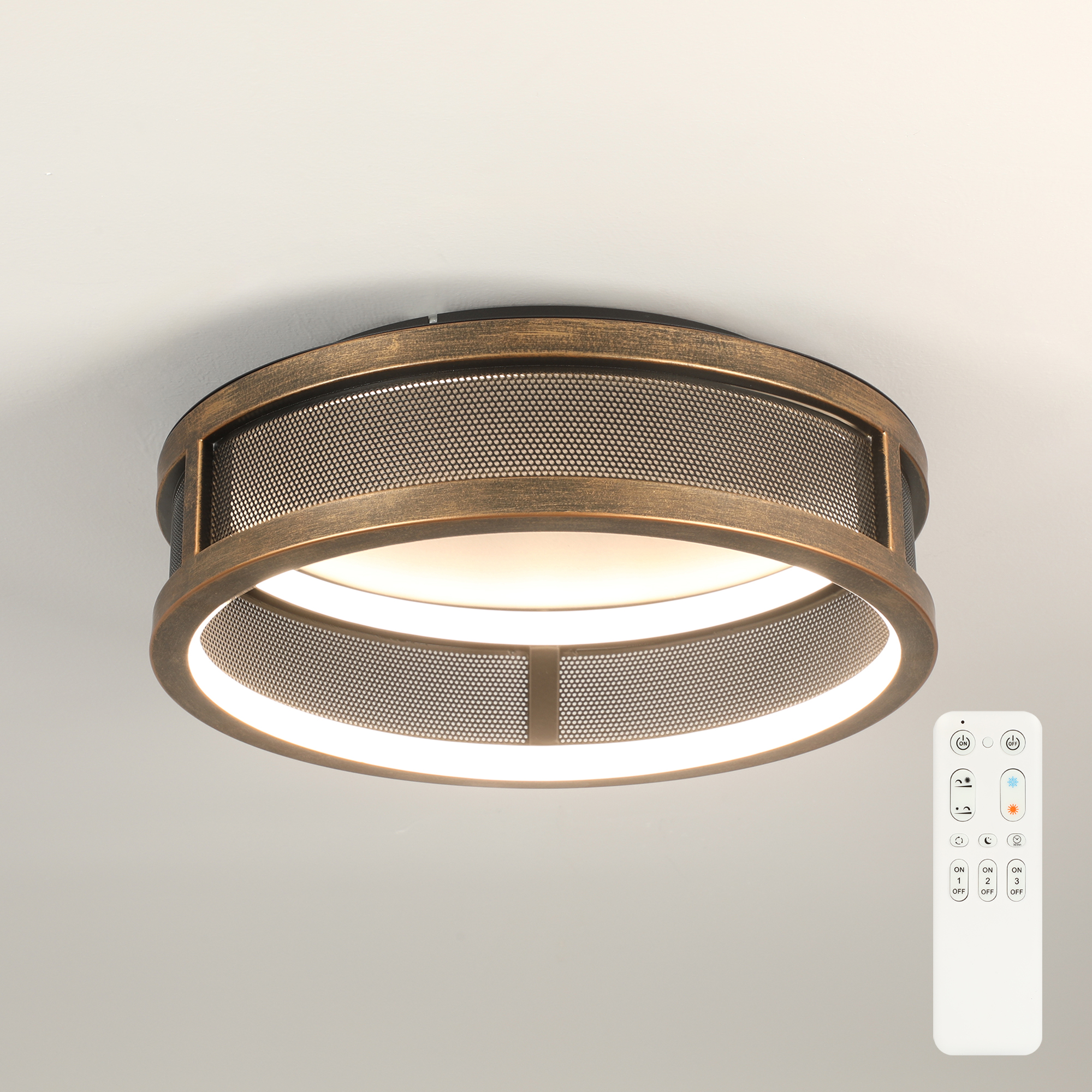 MultiEase Industrial Flush Mount Ceiling Light: Vintage Light Fixture ...