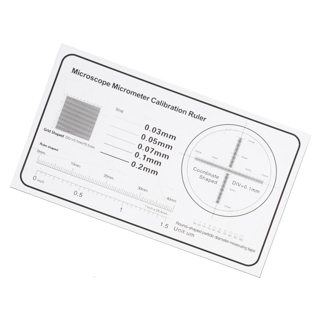 Multifunction Microscope Micrometer Calibration Ruler Slide Microscope ...