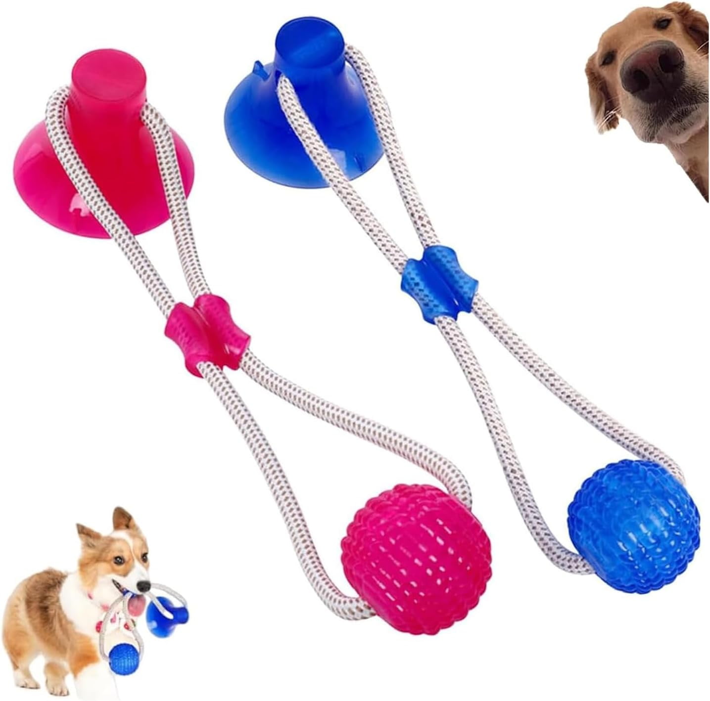 Multifunction Pet Molar Bite Toy - Interactive Dog Chew Toy with Strong ...