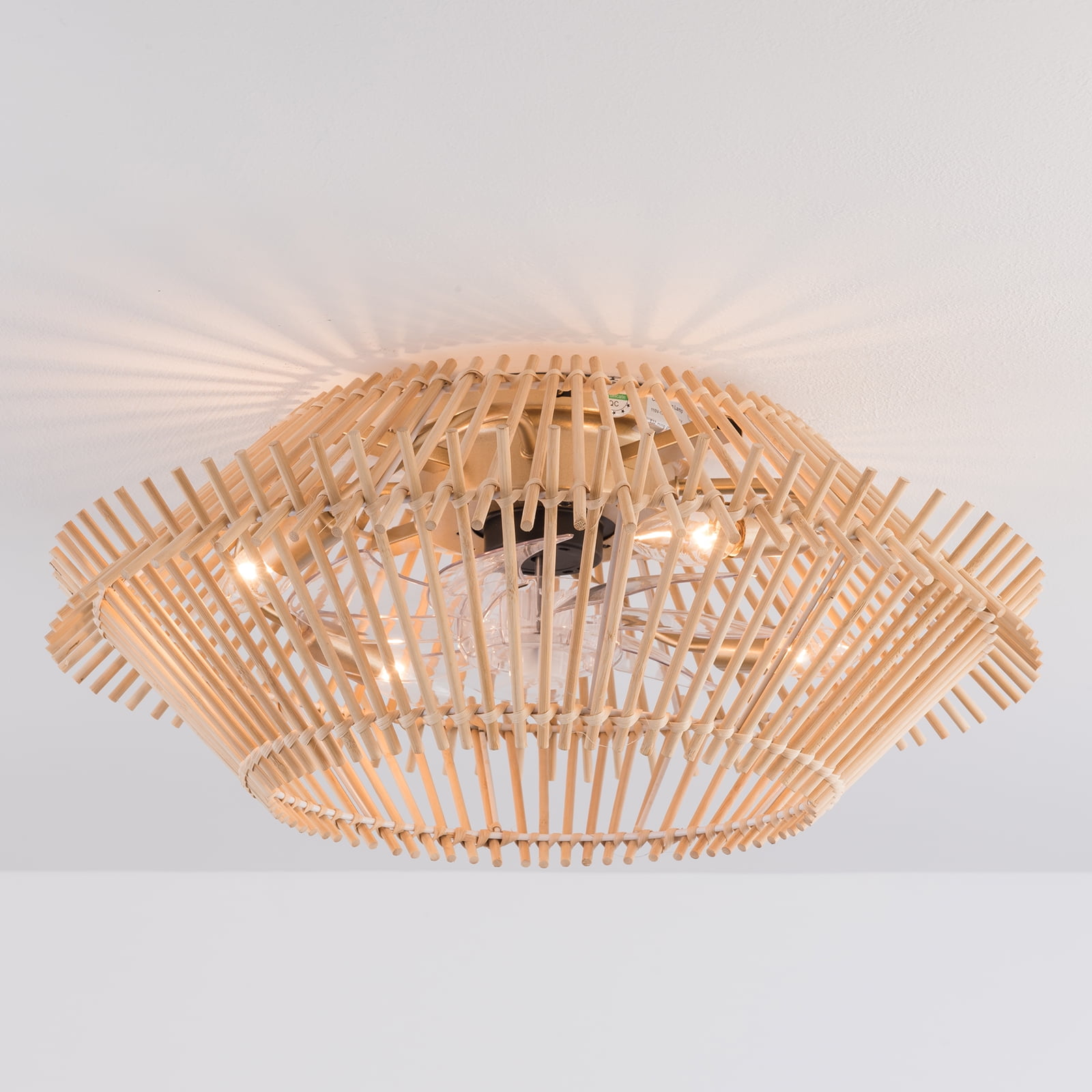 Multifunctional Ceiling Fan Light, 5 Fan Blades, LED Light, Remote ...