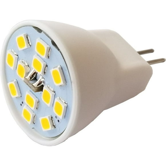 12 Volt LED Bulbs