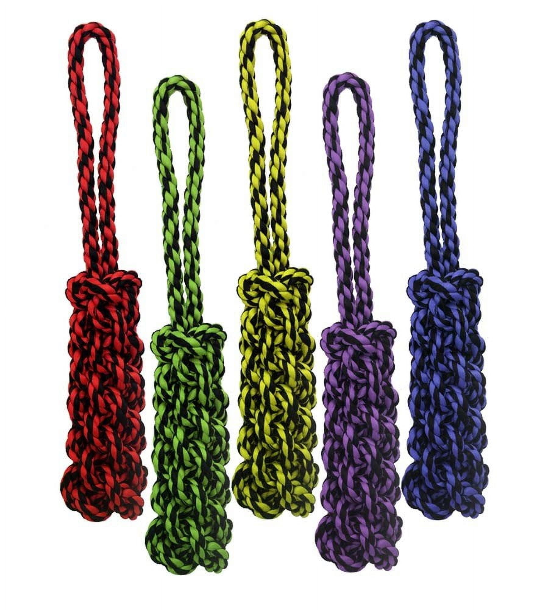 Multipet 784369295160 16 in. Nuts for Knots Rope Tug with Braided Stick ...