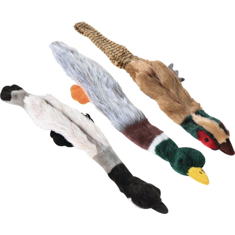 Multipet Empty Nester 20 In. Squeaky Bird Dog Toy 37830 37830 756192 ...