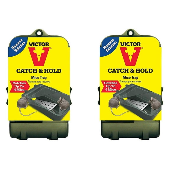 Victor Mouse Traps in Mouse - Walmart.com