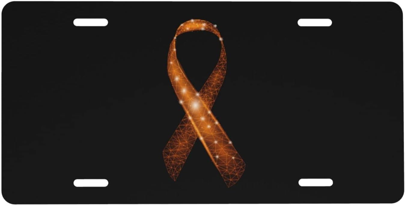 Multiple Sclerosis Awareness Aluminum Stainless Decorative Car Front ...