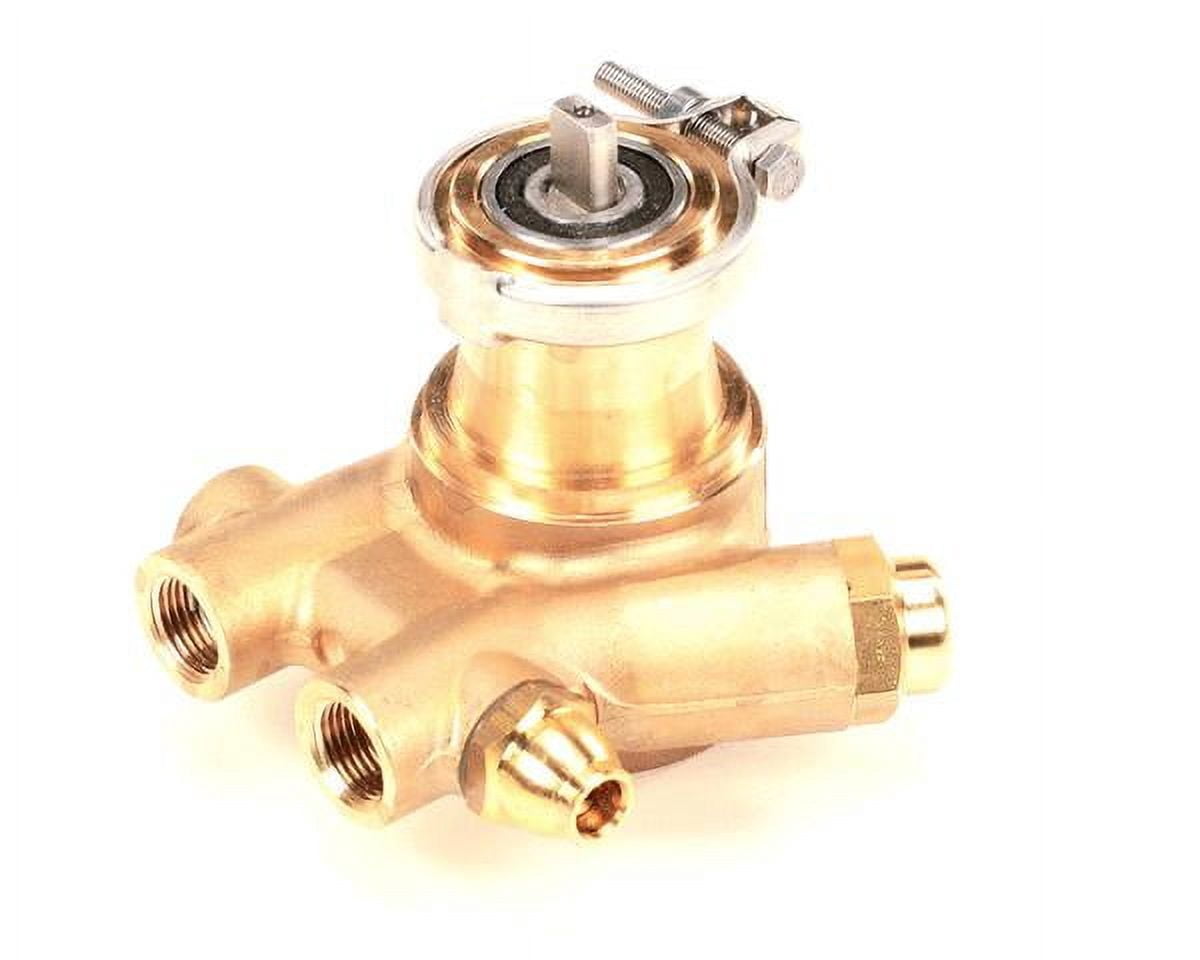 Multiplex Pump Brass Rotary Vane 125 Gph 5009613 - Free Shipping ...