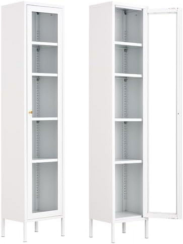 Multipurpose Enclosed Bookshelf with Acrylic Door and Iron Door 71 ...