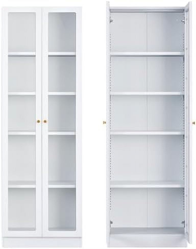 Multipurpose Enclosed Bookshelf with Acrylic Door and Iron Door 71 ...