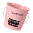 Multipurpose Small Iron Flowerpot Plant Container Decorative Bucket ...