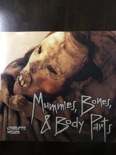 Pre-Owned Mummies, Bones & Body Parts (Paperback) 9780439323352 ...