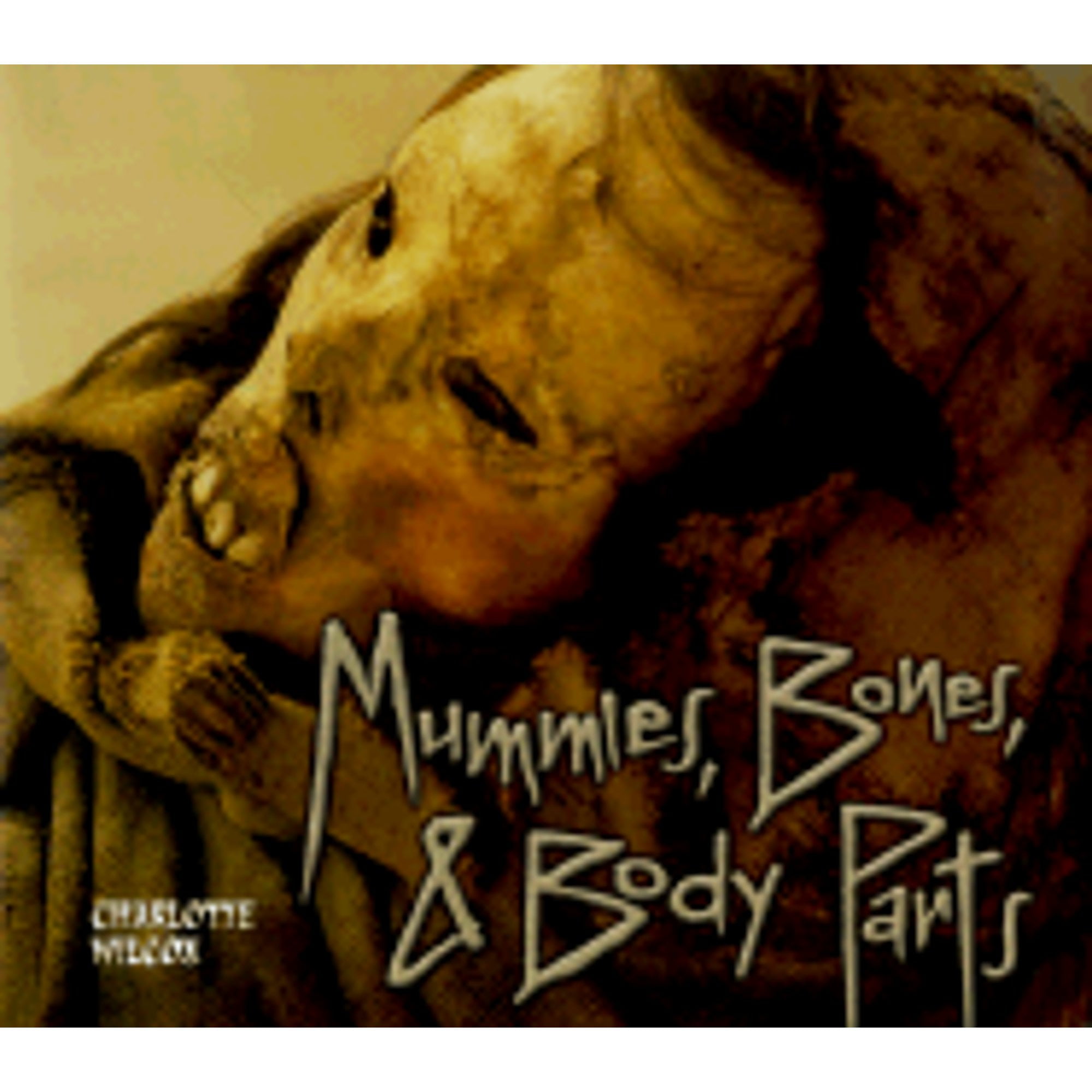 Pre-Owned Mummies, Bones & Body Parts (Hardcover 9781575054285) by ...