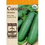 Muncher Cucumber Seeds - 15 Seeds - Walmart.com