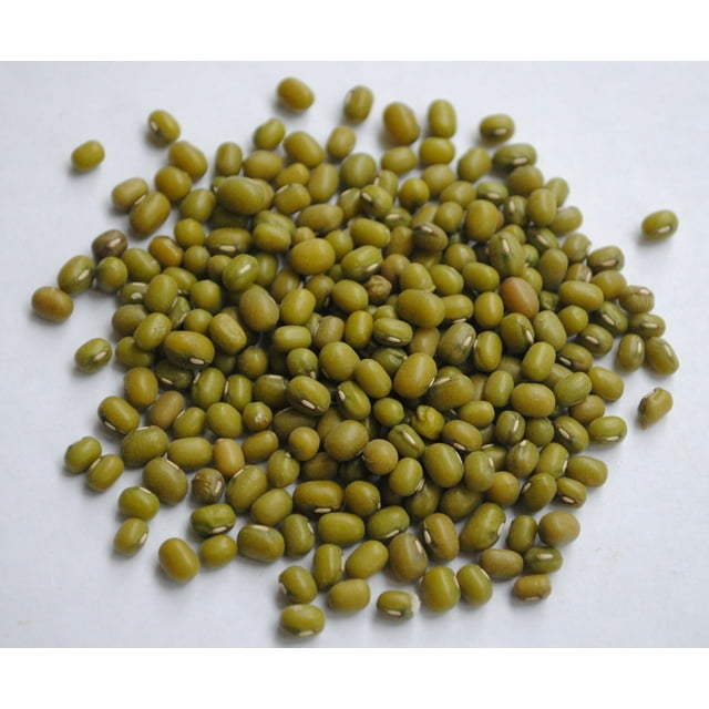 Mung Bean Seeds/ Annual/ Full Sun/125 Seeds 1/4 oz/ Zellajake Farm and ...