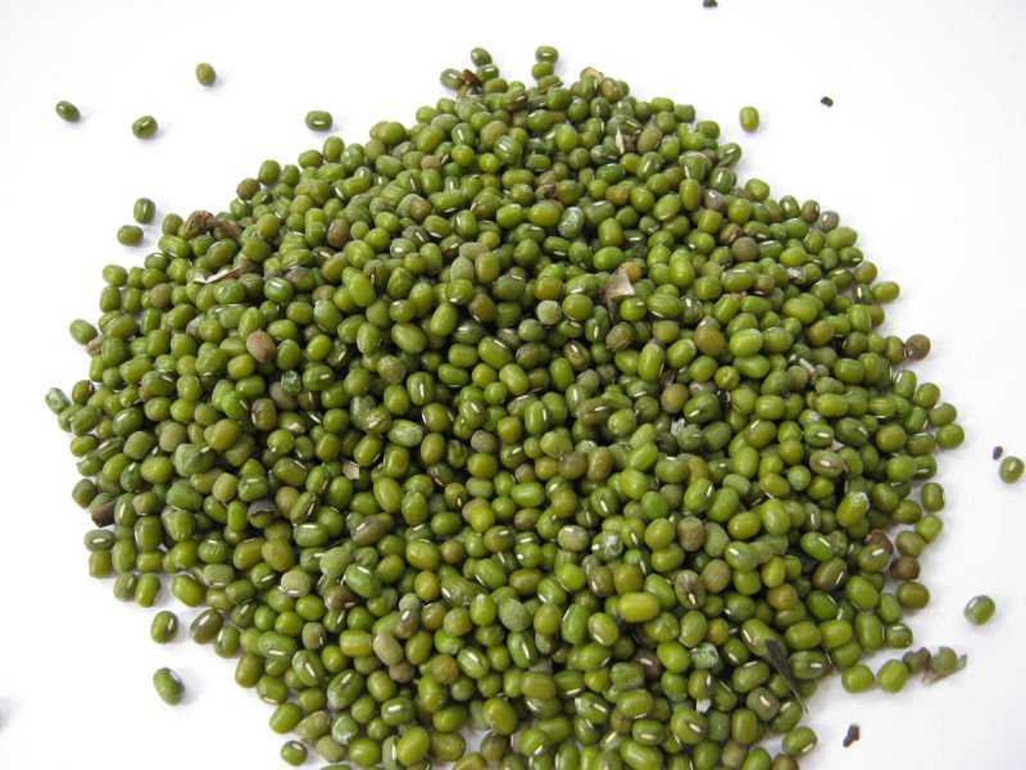 Mung Bean Sprouting Seed - 12 Oz - Country Creek Brand - Dried Mung ...